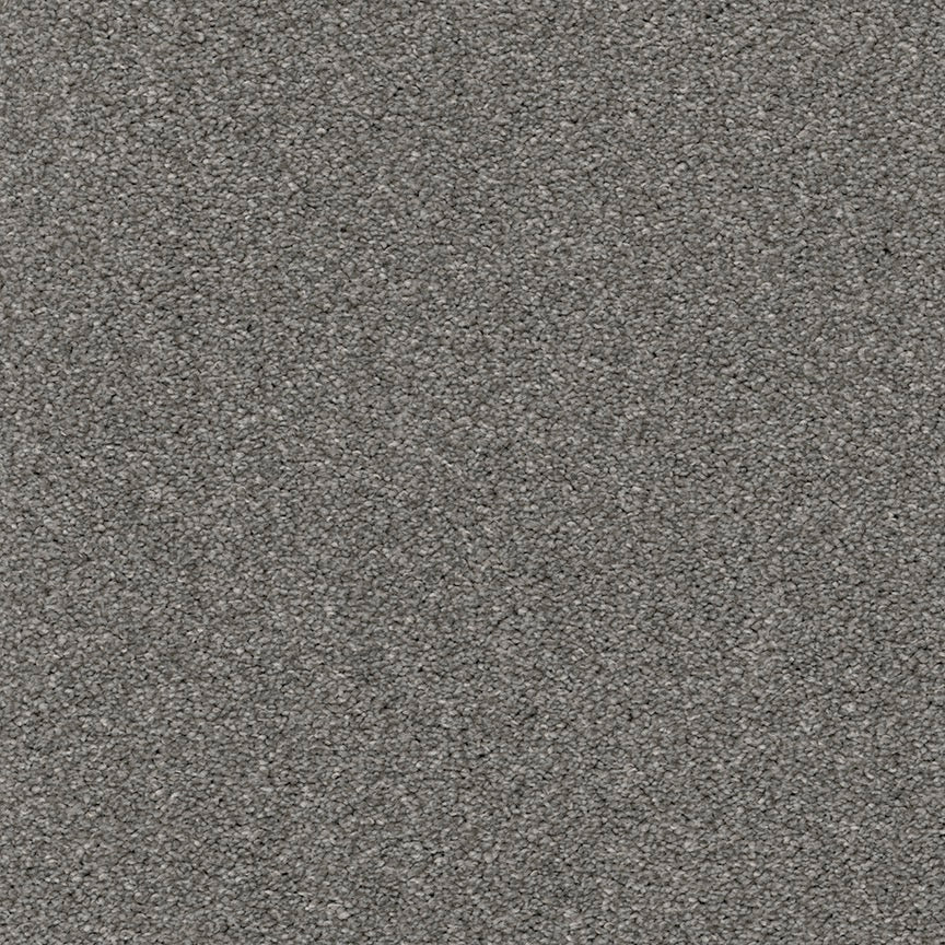 Allure Carpet Flooring by Chesapeake — Chesapeake Flooring